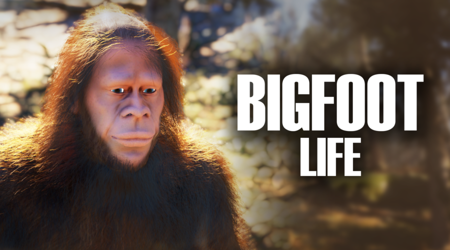 Bigfoot Life Press Kit - Planet 47 Games