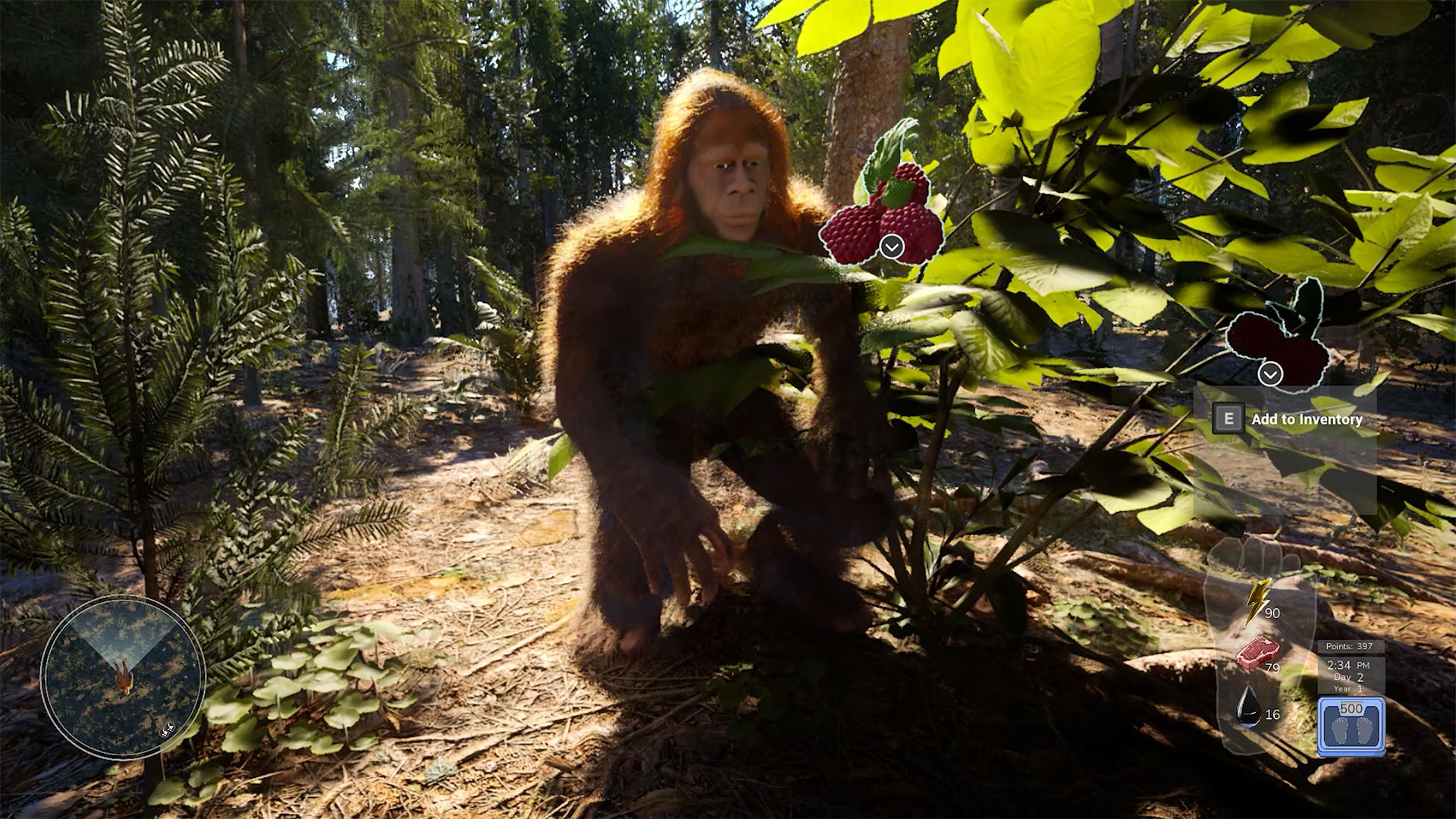 Bigfoot Life Press Kit - Planet 47 Games