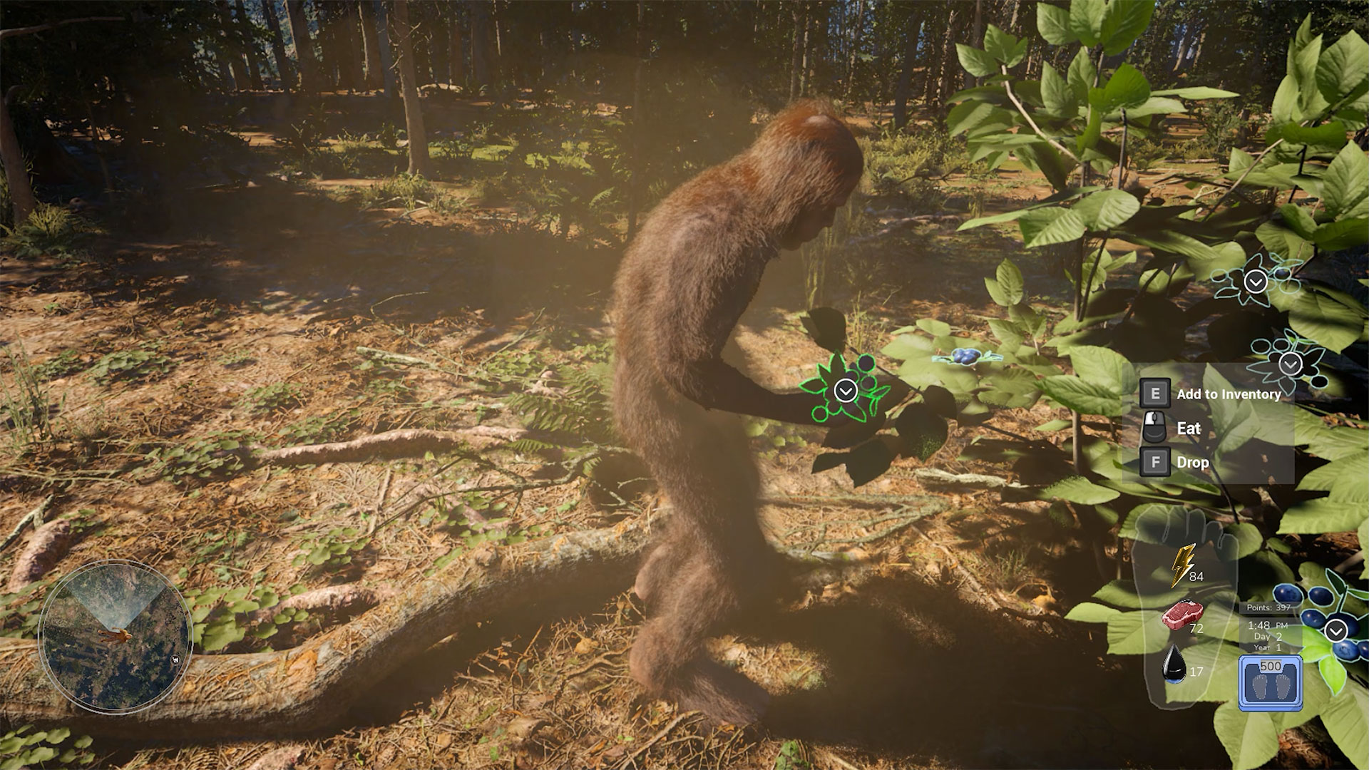 Bigfoot Life Press Kit - Planet 47 Games