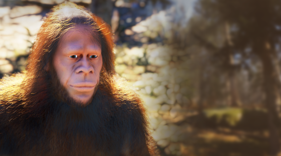 Bigfoot Life Press Kit - Planet 47 Games